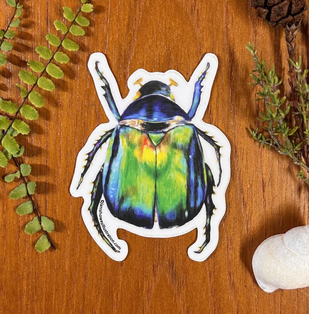 Colorful Scarab Beetle Die-cut Vinyl Sticker, Scarab Beetle Sticker ...