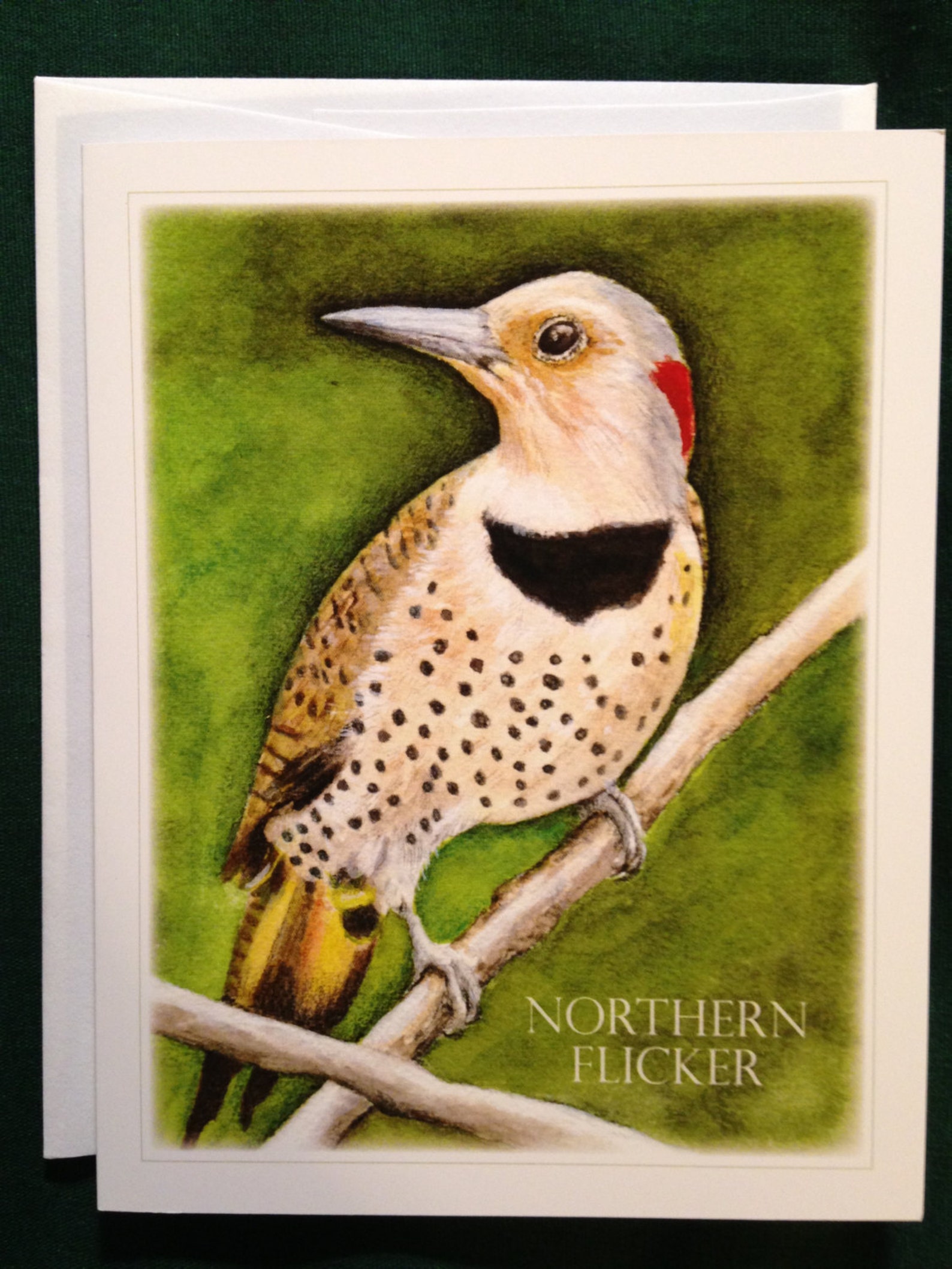Northern Flicker Note Card With Envelope blank - Etsy