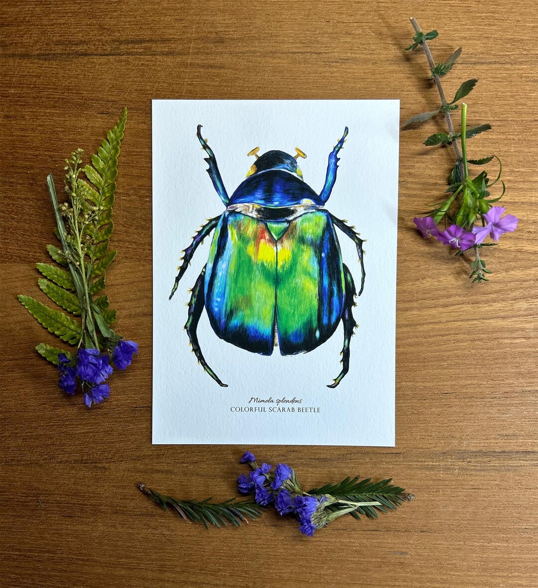 Colorful Scarab Beetle 5x7 Giclée Print - Etsy