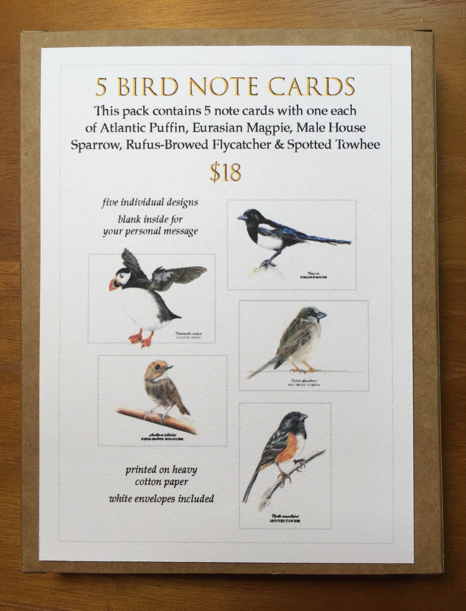 5 Bird Note Cards - Etsy