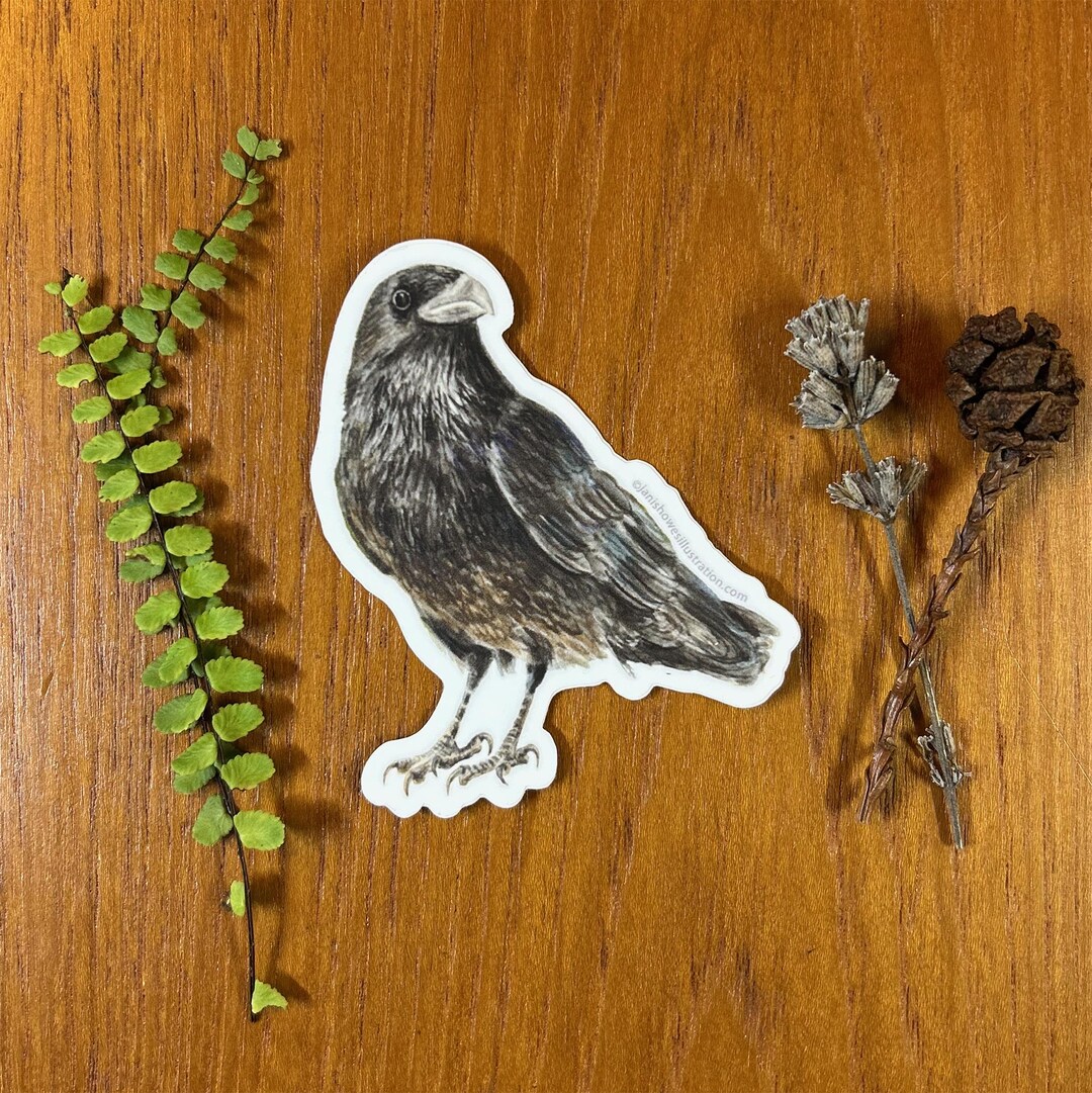 Common Raven Die-cut Vinyl Sticker, Common Raven Sticker, Bird Sticker ...