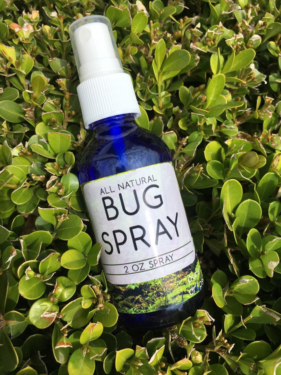 All Natural Bug Spray-essential Oils-pure Drops-all Natural-bug ...