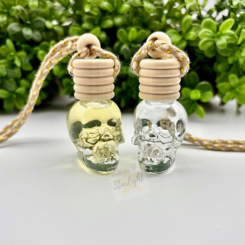 Glass Skull Scent Diffuser - Etsy