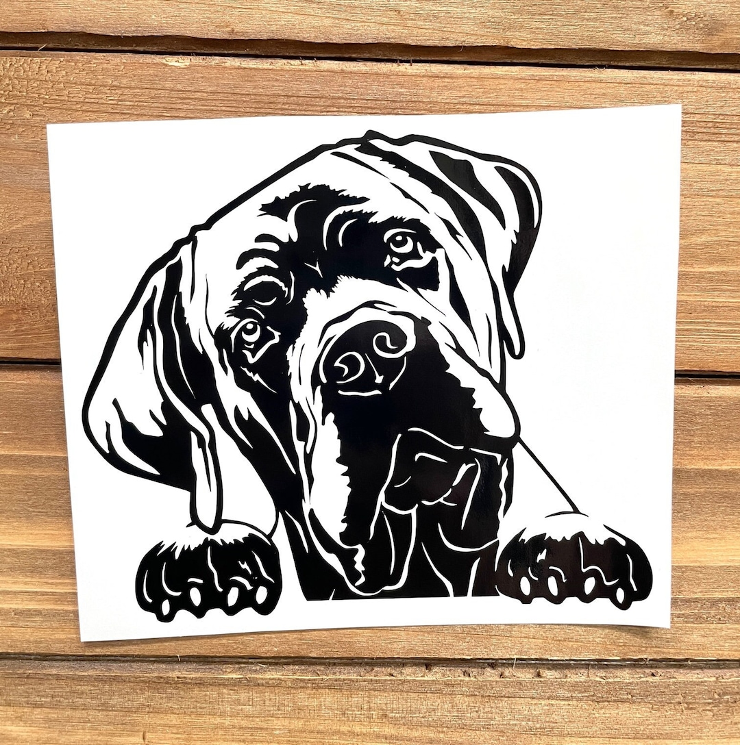 Cane Corso Dog Decal Peeking Cane Corso Cane Corso Sticker Dog Decal ...