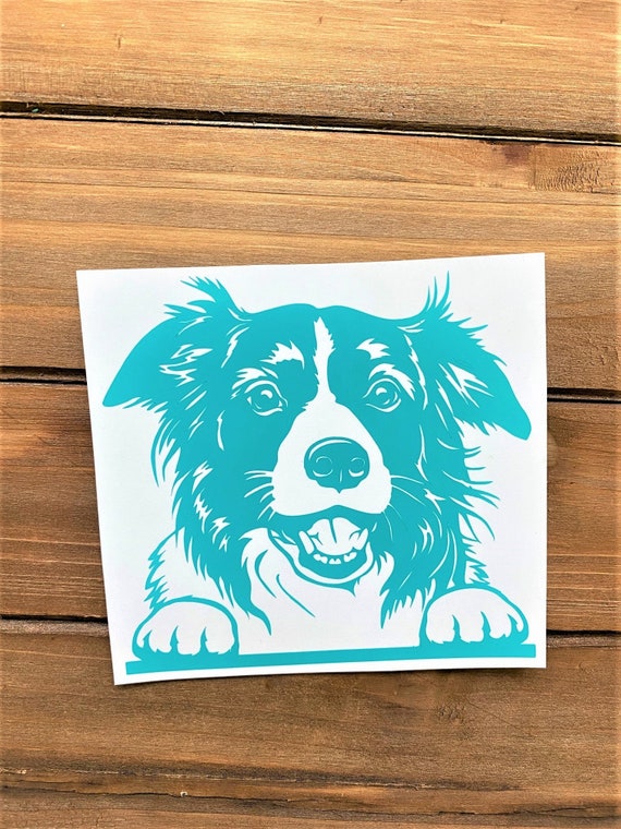 Border Collie Decal Peeking Border Collie Collie Decal - Etsy