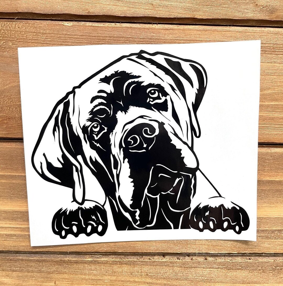 Cane Corso Dog Decal - Peeking Cane Corso - Cane Corso Sticker - Dog ...