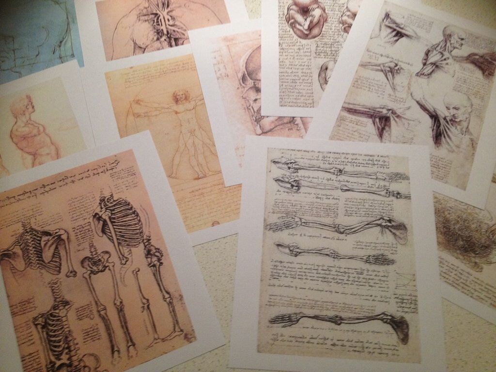 X10 Set Da Vinci Anatomy Portfolio - Etsy Australia