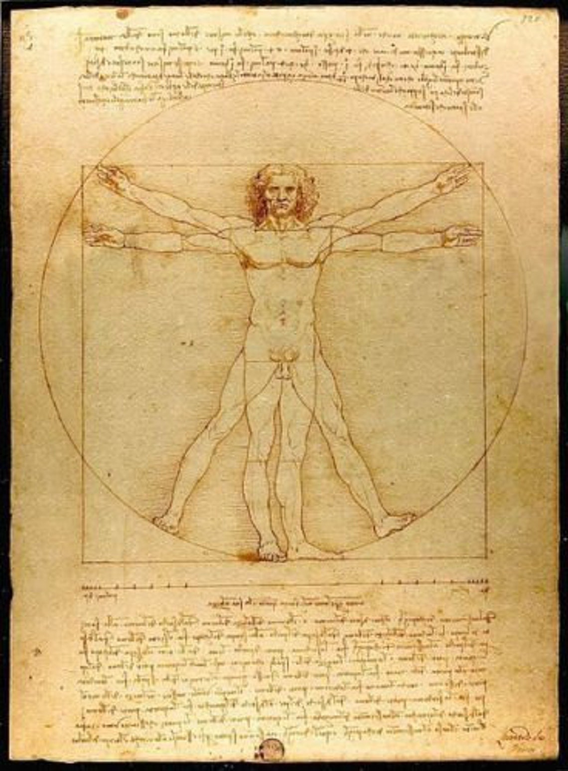 X10 Set Da Vinci Anatomy Portfolio - Etsy Australia