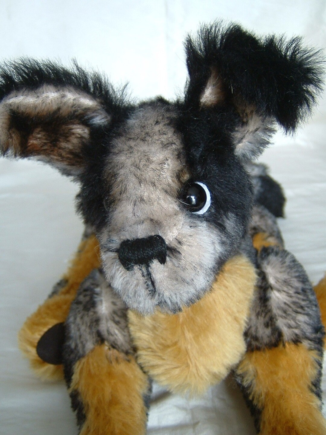 Zeo, Australian Cattle Dog, Pattern by Alaine Ferreira, Bearflair ...
