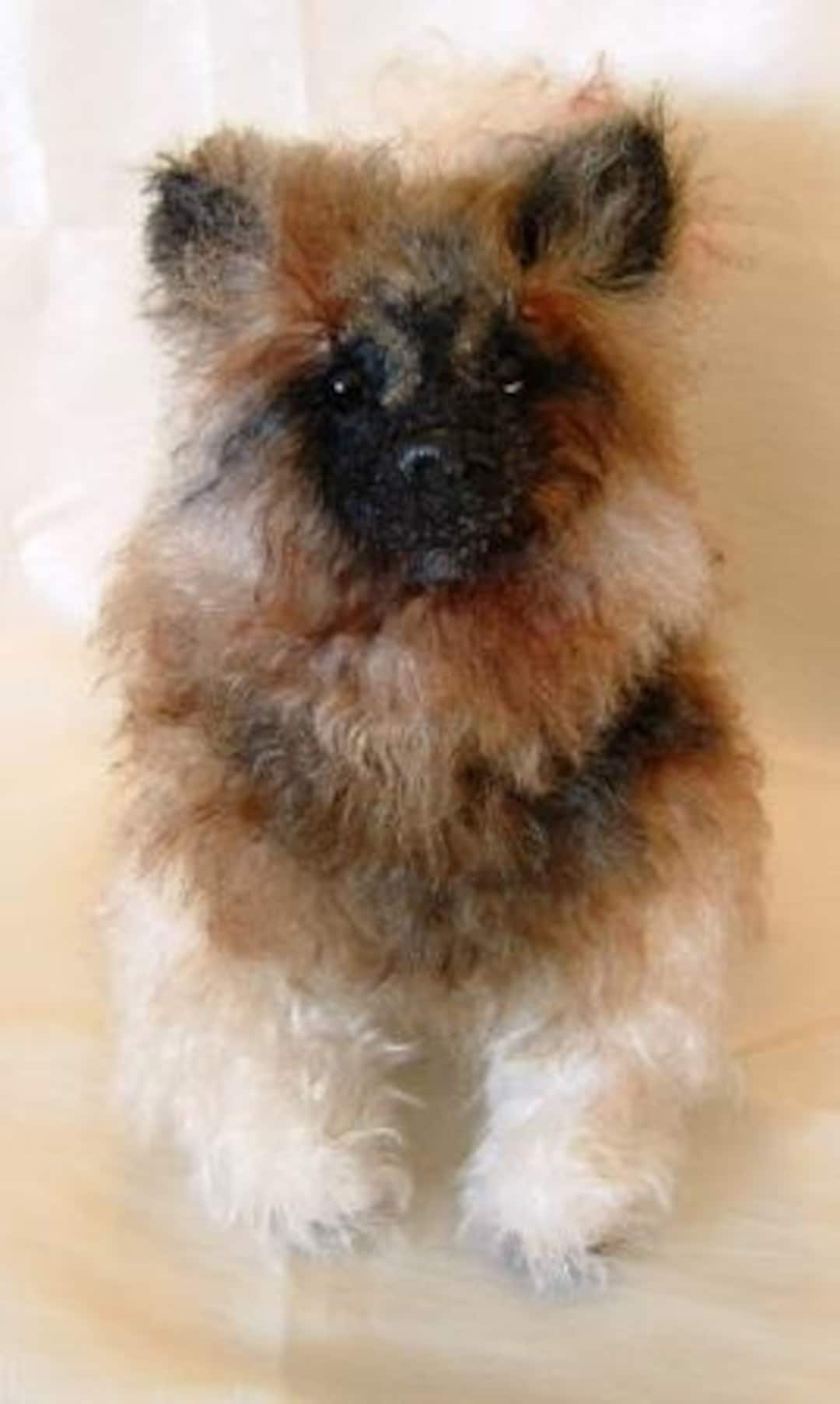 Kaisha Keeshond Dog Pattern Bearflair Alaine Ferreira, Mohair Bear ...