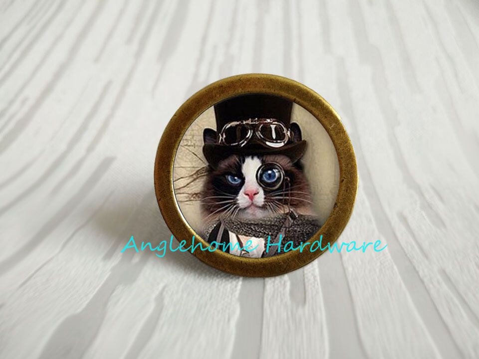 Steampunk Cat Dresser Knob /Drawer Knobs Pulls Handles | Etsy