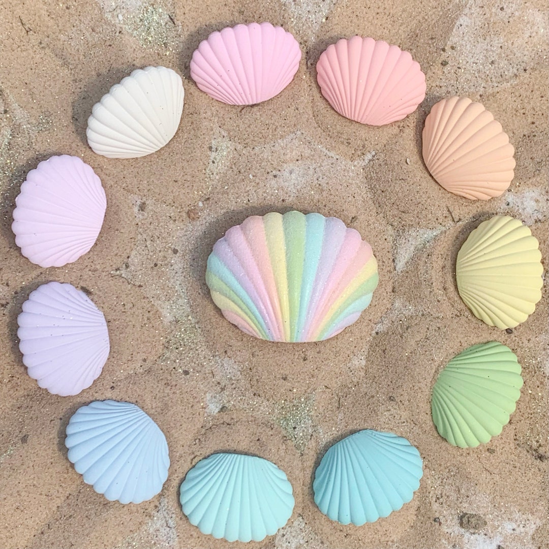 Shell, Clam Shell Decoration, Clam Shell, Beach Decor - Etsy UK