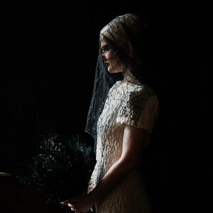 Cobwebs & Crystals Gothic Spiderweb Wedding Fingertip Veil in White or ...