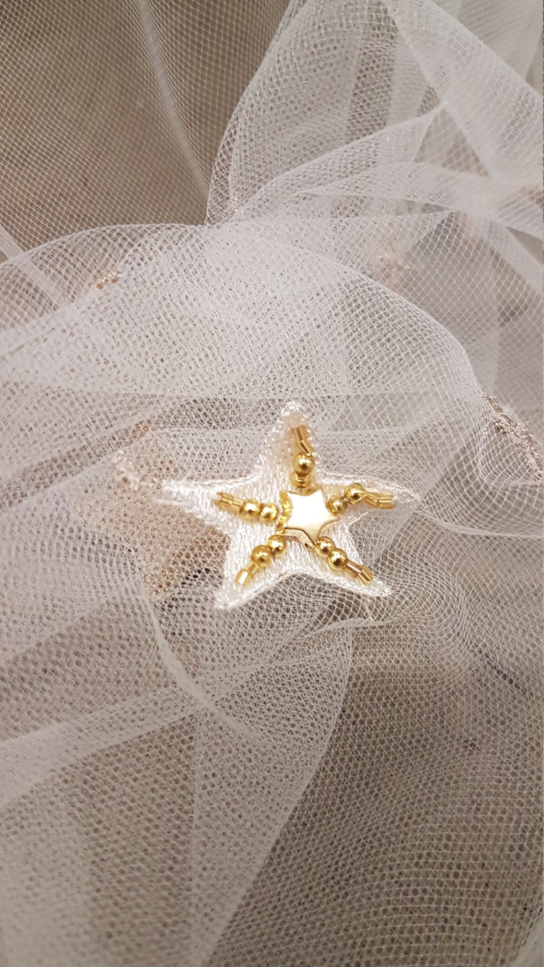 Starry Night Veil: Cathedral Length Ivory Celestial Veil | Etsy