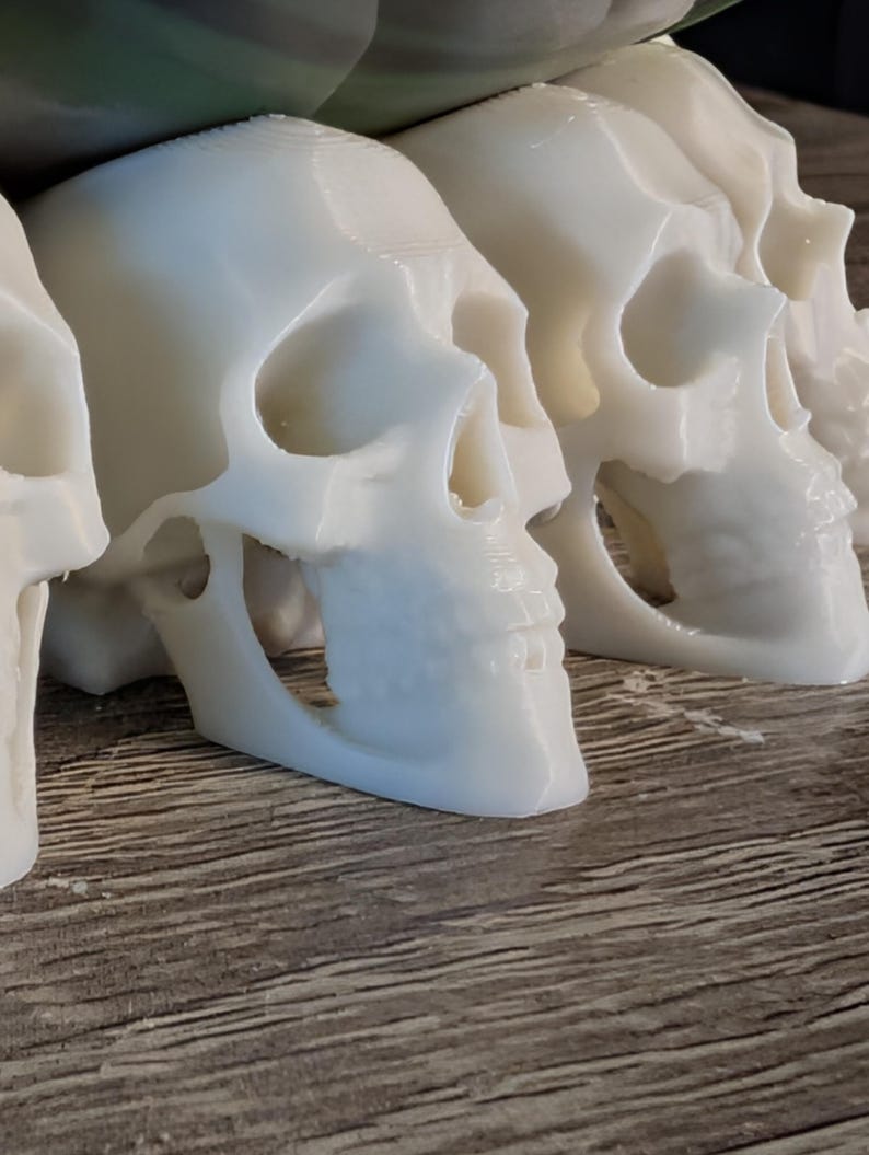 Skull Bowling Ball Stand | Skeleton Head Display Ring | Gothic Desk Decor | Spooky Bowler Gift ...