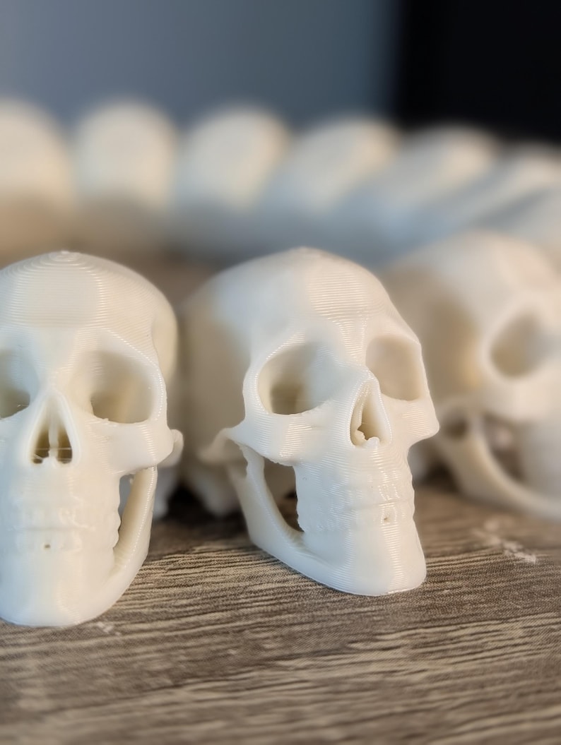 Skull Bowling Ball Stand | Skeleton Head Display Ring | Gothic Desk Decor | Spooky Bowler Gift ...