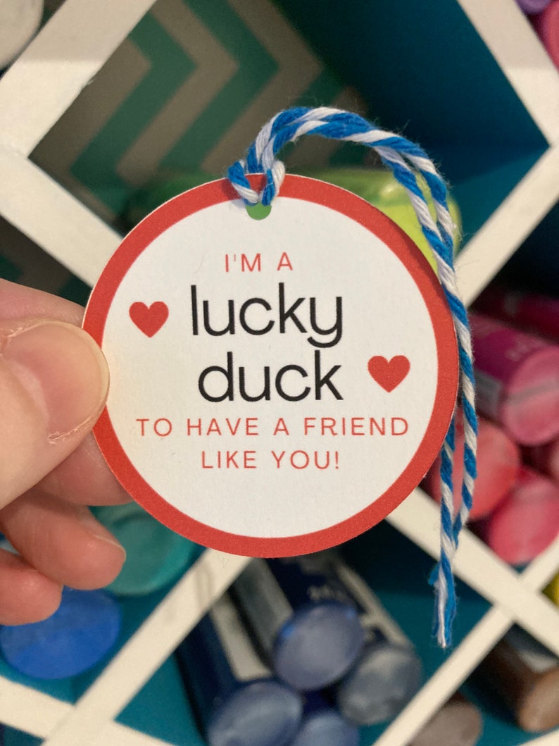 Custom Valentine Stickers: Lucky Duck Valentine's Day / - Etsy