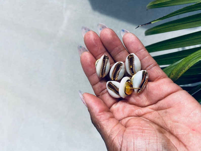 Cowrie Shell Stud Earrings - Etsy