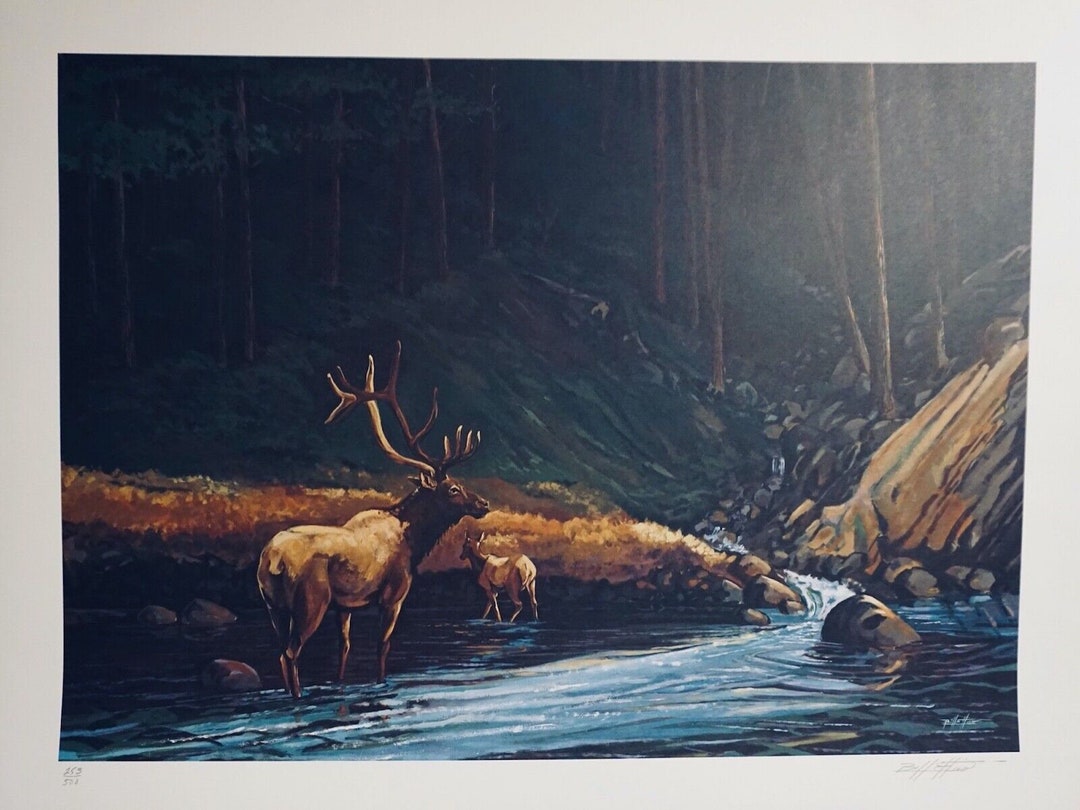 Bill Elliott the Old Bull Lithograph Animal ART - Etsy
