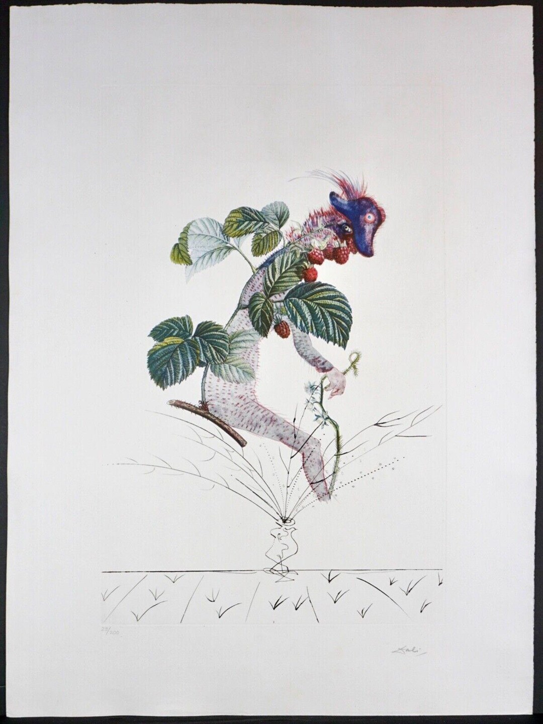 DALI Flordali/les Fruits Raspberry Hand Signed Numbered Etching Surreal ...