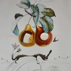 DALI Flordali/les Fruits Fruit W/ Holes Hand Signed Numbered Etching ...