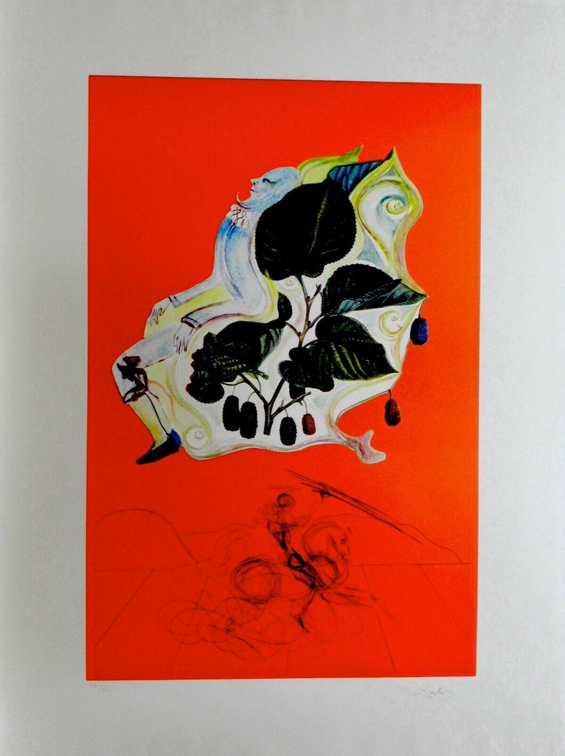 DALI Fruits Blackberries Hand Signed Numbered Dali Archives Certified ...