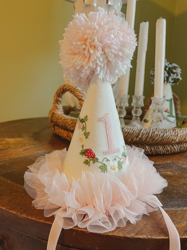 Strawberry Embroidered Party Hat - Etsy