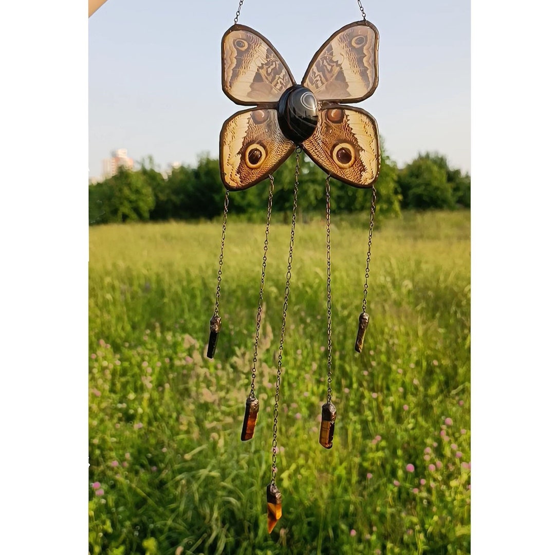 Wall Hanging Real Butterfly Encased Between Glass - Etsy