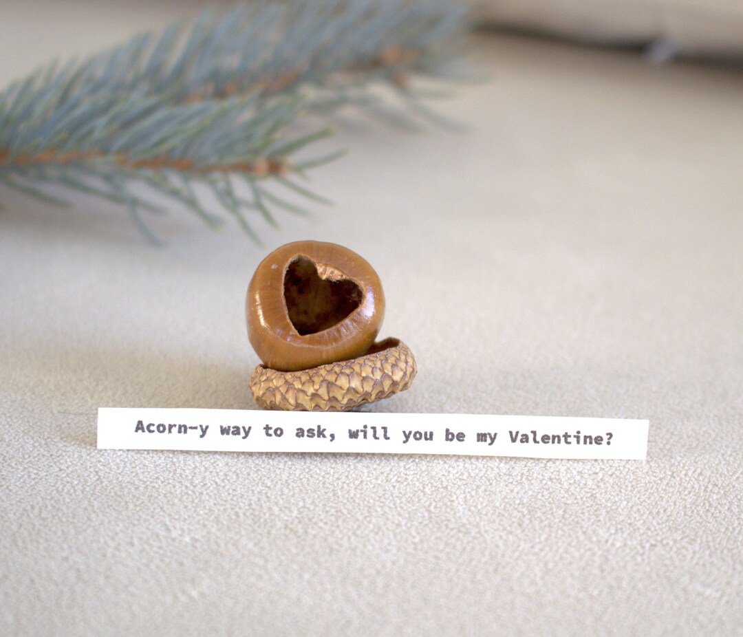 Acorn-y Way to Ask, Will You Go to Prom With Me Message in an Acorn - Etsy