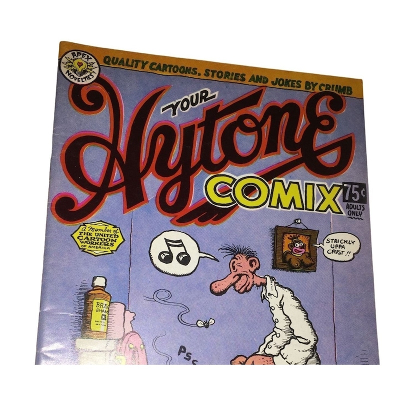 Your Hytone Comix Vintage Underground Comix Comic Book - Etsy UK