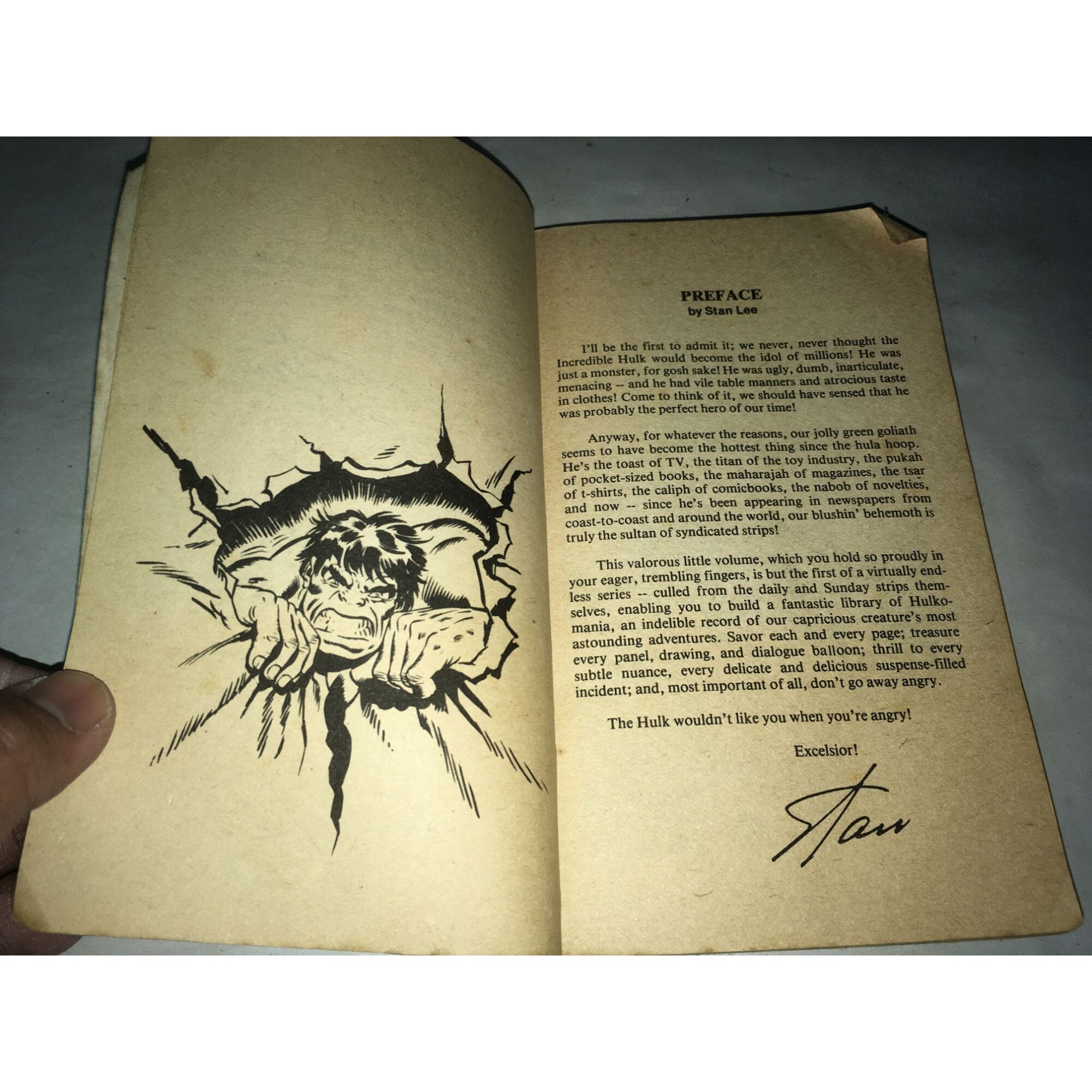 The Incredible Hulk by Stan Lee & Larry Lieber Vintage Paperback Comic ...