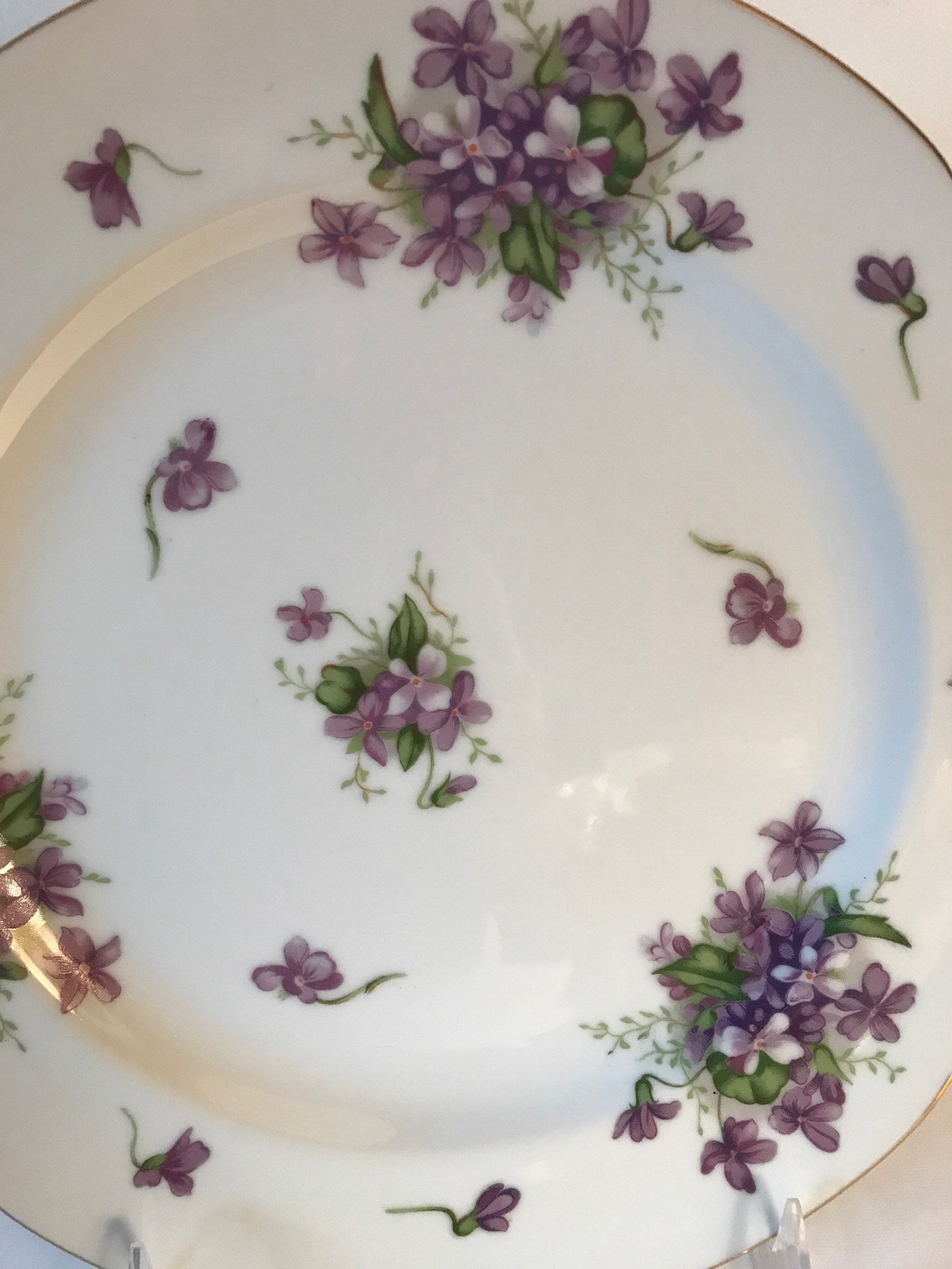 Rossetti Spring Violets Occupied Japan Dinner Plate 1945-1952 - Etsy
