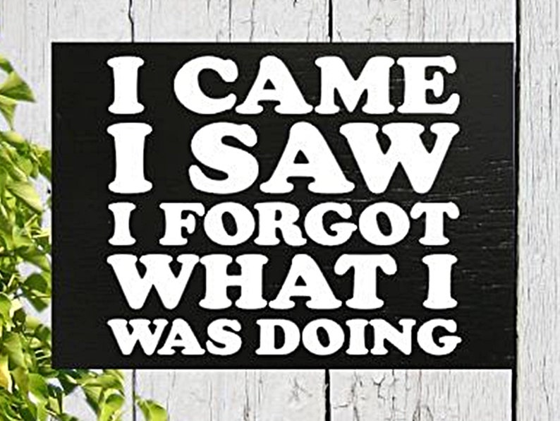 I came I saw I forgot what I was doing. Funny wood sign/ Hand | Etsy