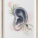 Ear Wall Art, Audiology Poster, Human Ear Anatomy Print, ENT Doctor ...