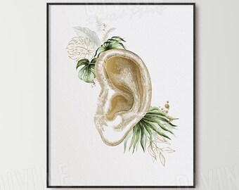 Human Ear Anatomy Art Medical Artwork Audiology Poster - Etsy