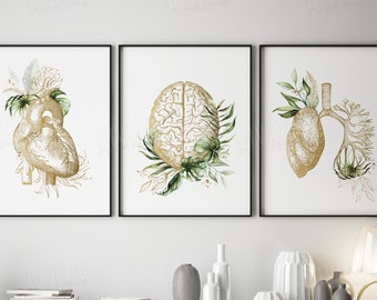 Human Heart Poster - Etsy