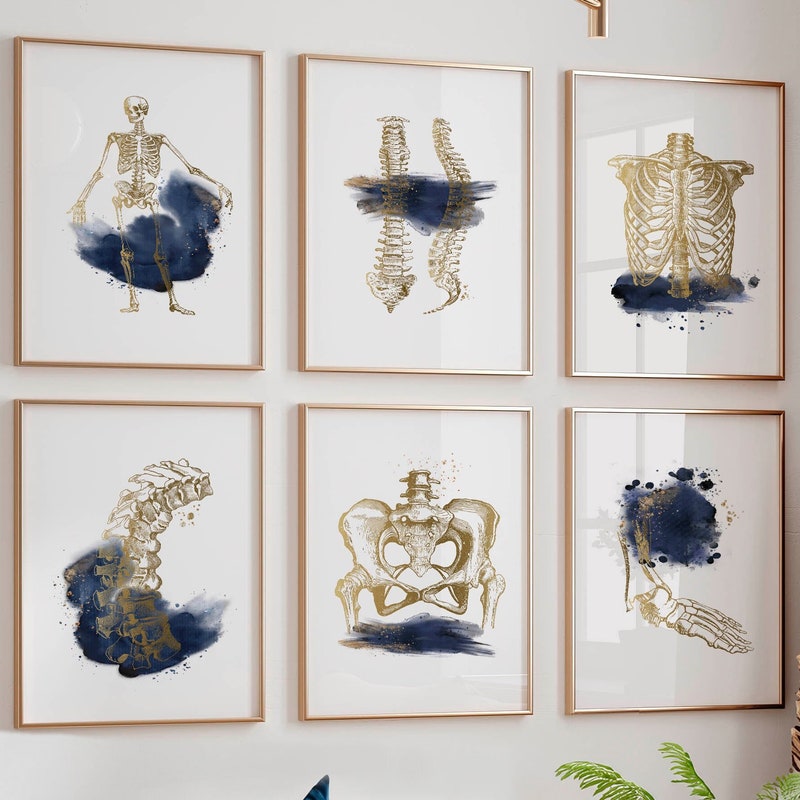 Chiropractic Poster - Etsy