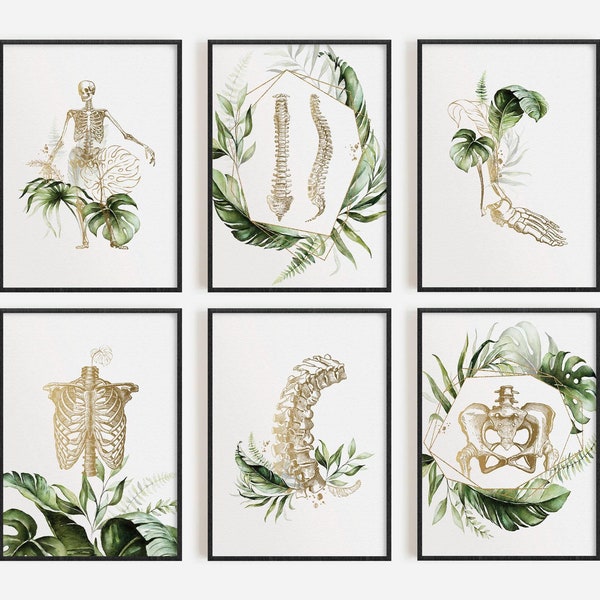 Orthopedic Poster - Etsy UK