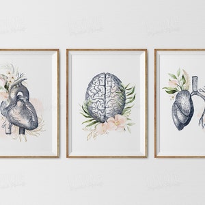 Watercolor Anatomy Art, Heart Brain Lungs Anatomy Poster Set, Nurse ...