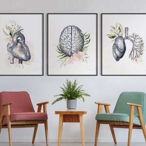 Watercolor Anatomy Art, Heart Brain Lungs Anatomy Poster Set, Nurse ...