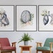 Watercolor Anatomy Art, Heart Brain Lungs Anatomy Poster Set, Nurse ...
