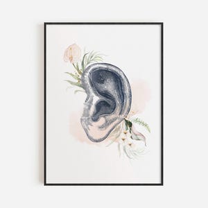 Ear Wall Art, Audiology Poster, Human Ear Anatomy Print, ENT Doctor ...