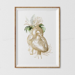 Organ Art, Lungs Wall Art, Human Heart Anatomy Poster, Brain Watercolor ...