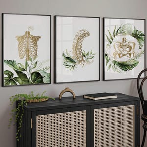 Chiropractic Wall Art, Chiro Clinic Decor, Spine Human Anatomy Art ...