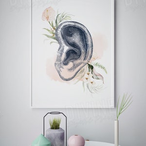 Ear Wall Art, Audiology Poster, Human Ear Anatomy Print, ENT Doctor ...