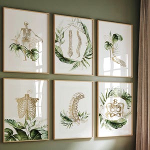 Chiropractic Wall Art, Chiro Clinic Decor, Spine Human Anatomy Art ...