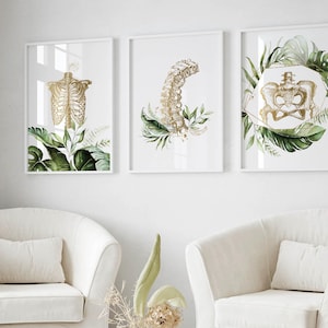 Chiropractic Wall Art, Chiro Clinic Decor, Spine Human Anatomy Art ...