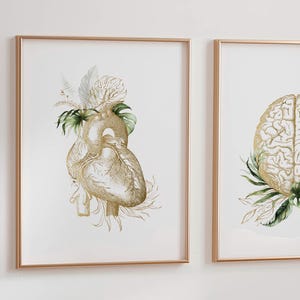 Organ Art, Lungs Wall Art, Human Heart Anatomy Poster, Brain Watercolor ...