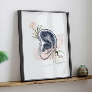 Ear Wall Art, Audiology Poster, Human Ear Anatomy Print, ENT Doctor ...