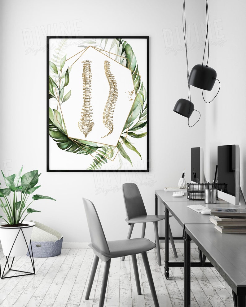 Spine Anatomy Art Chiropractic Decor Boho Chiropractor Gift - Etsy